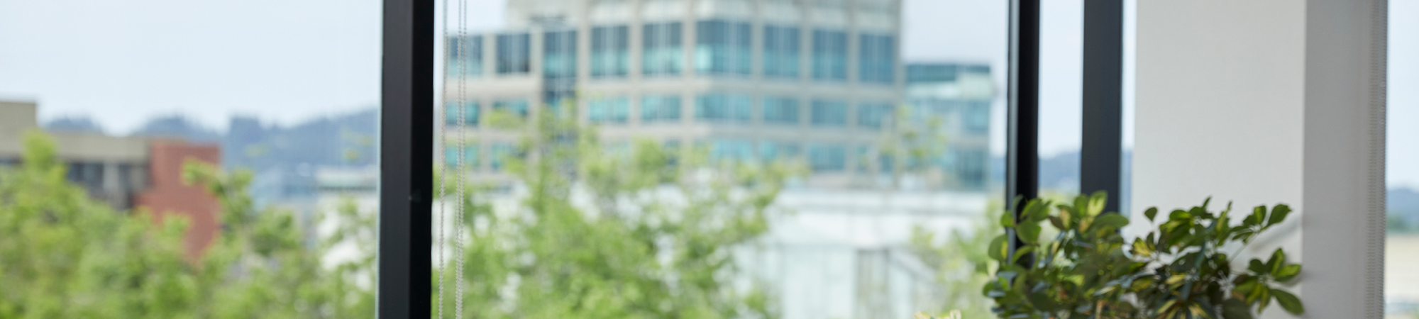 Logan J. Perrien Naccarato